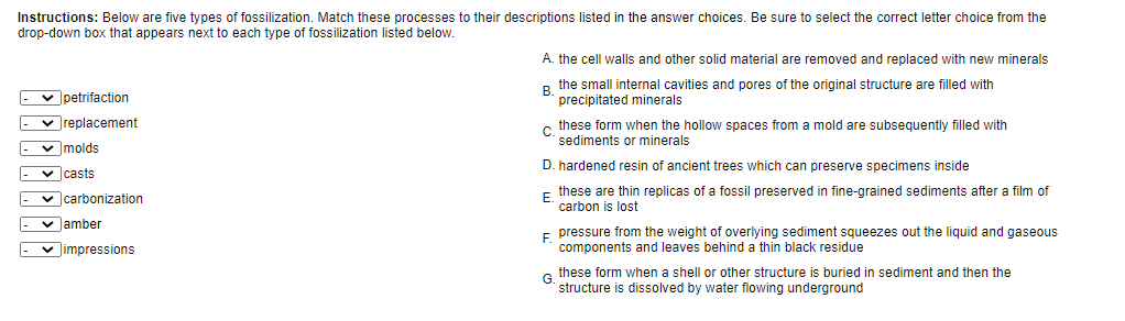 Solved Instructions: Below are five types of fossilization. | Chegg.com