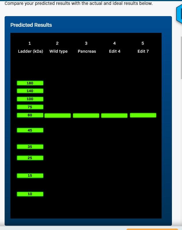 Solved Compare your predicted results with the actual and | Chegg.com