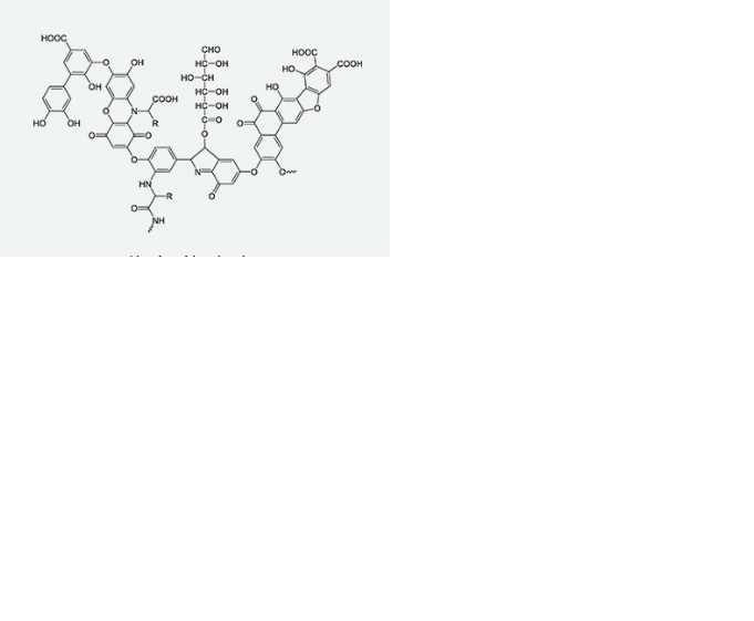 Solved HOOC HOOC НО. COOH Он CHO нсон HOCH HC-OM COOH HC-OH | Chegg.com