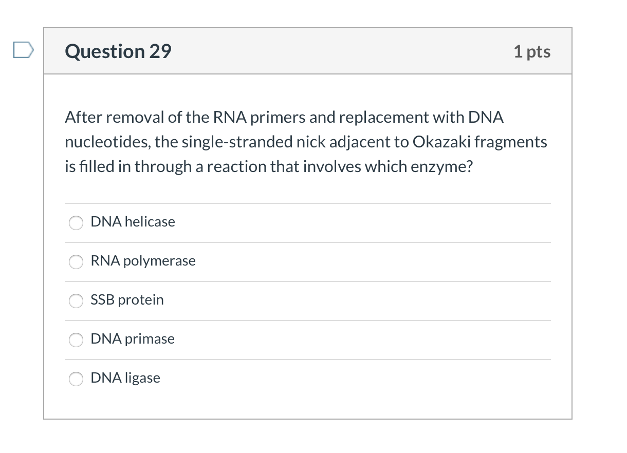 Solved Question 29 1 pts After removal of the RNA primers | Chegg.com