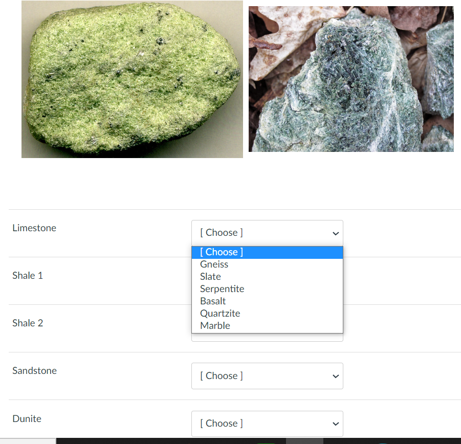 Solved Match the parent rock or protolith (on the left) to | Chegg.com