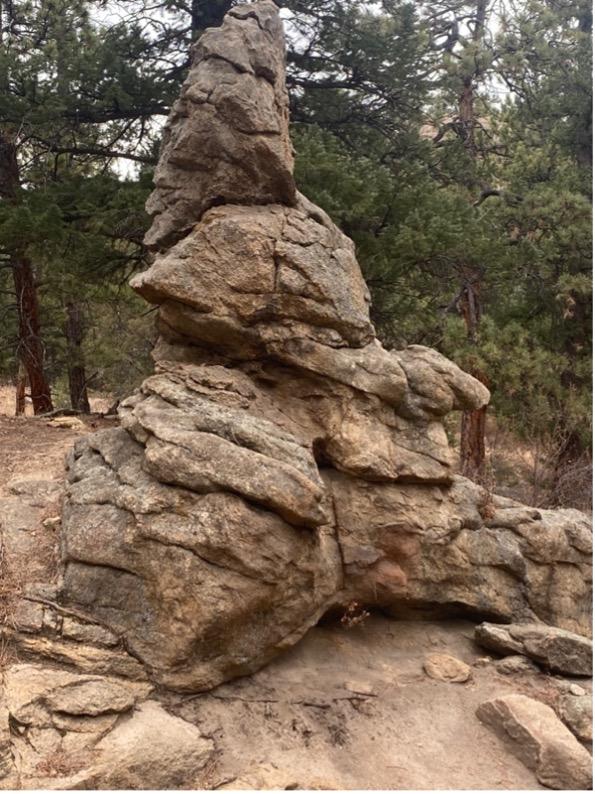 Solved How would you explain the formation/ environment of | Chegg.com