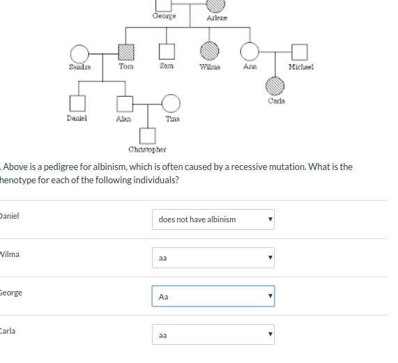 Solved George Arlene Sandra Тога Som Ann Michael 49 Corlo | Chegg.com