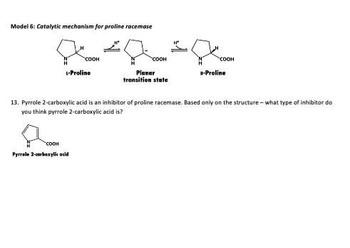 Solved Model 6: Catalytic mechanism for proline racemose | Chegg.com