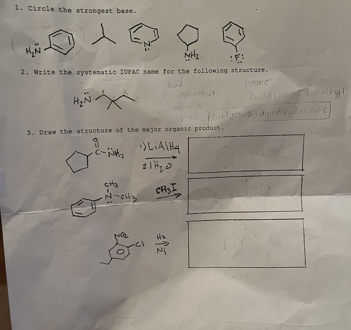Solved 1. Circle the strongest base. 2. Write the systematic | Chegg.com