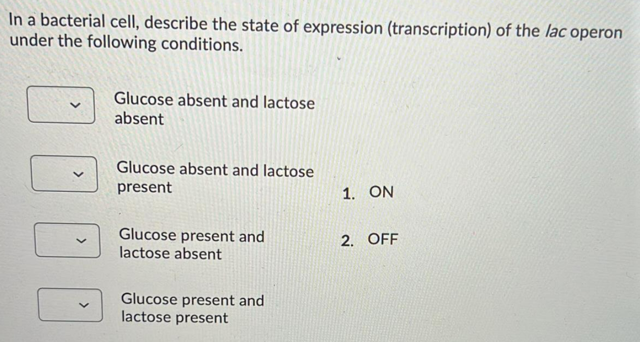 Solved In a bacterial cell that lacks the laco sequence, | Chegg.com