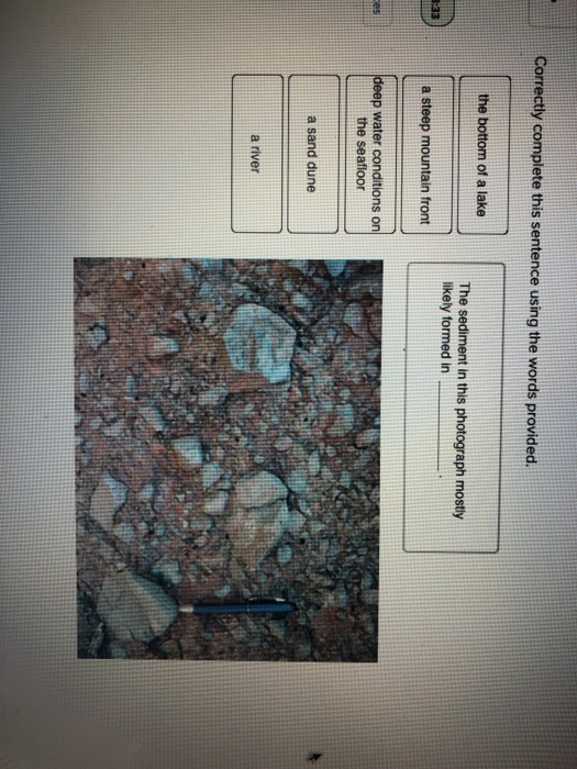 Solved Correctly complete this sentence using the words | Chegg.com Solved Correctly complete this sentence using the words | Chegg.com