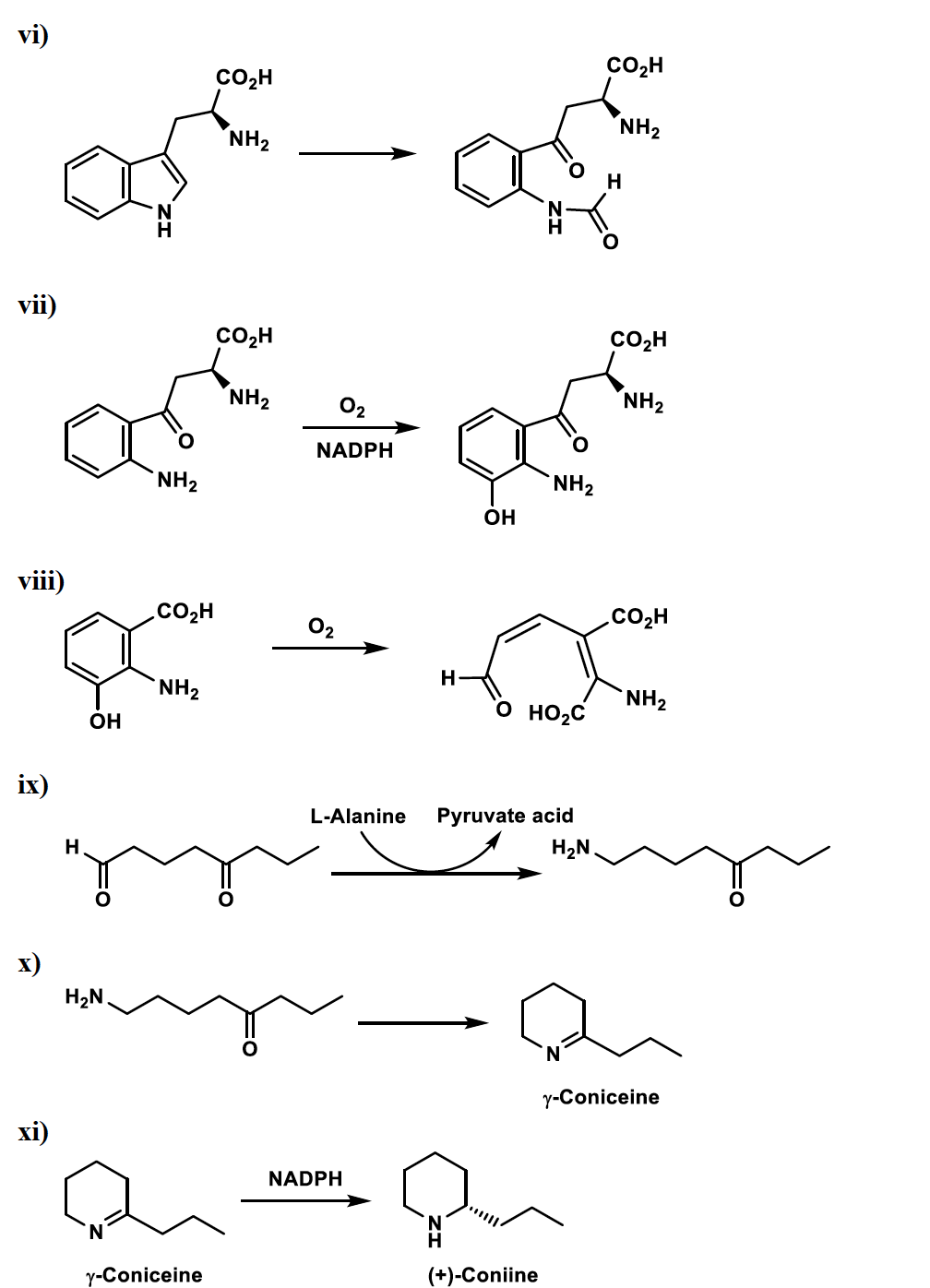 Solved i) CHO OH PO CO2H N PLP H2N. H2N. NH2 NH2 L-Ornithine | Chegg.com