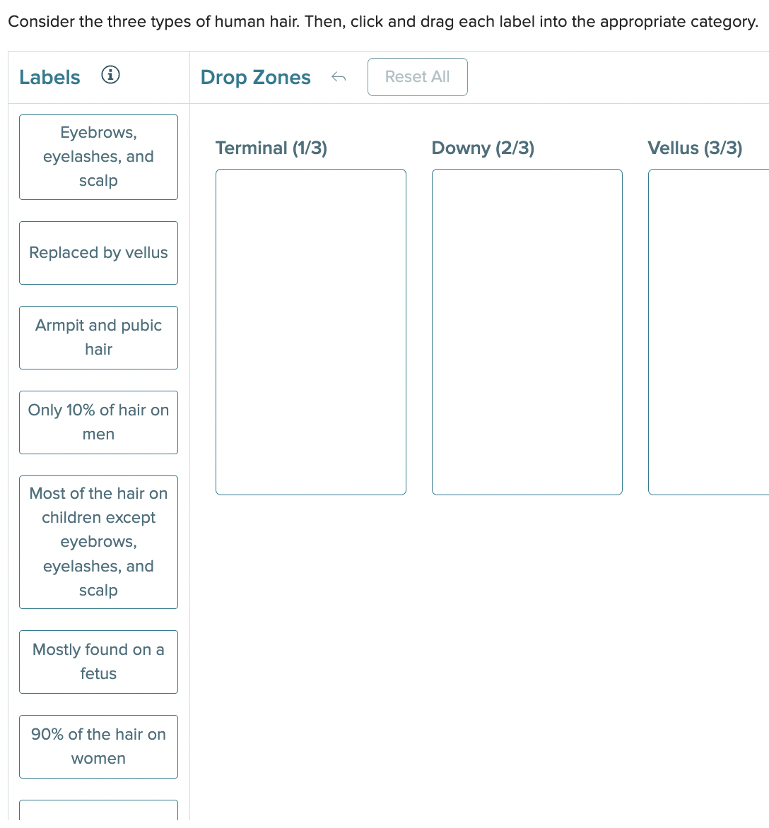 Solved Consider the three types of human hair. Then, click | Chegg.com