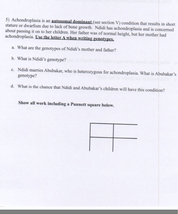 Autosomal Dominant Punnett Square Achondroplasia