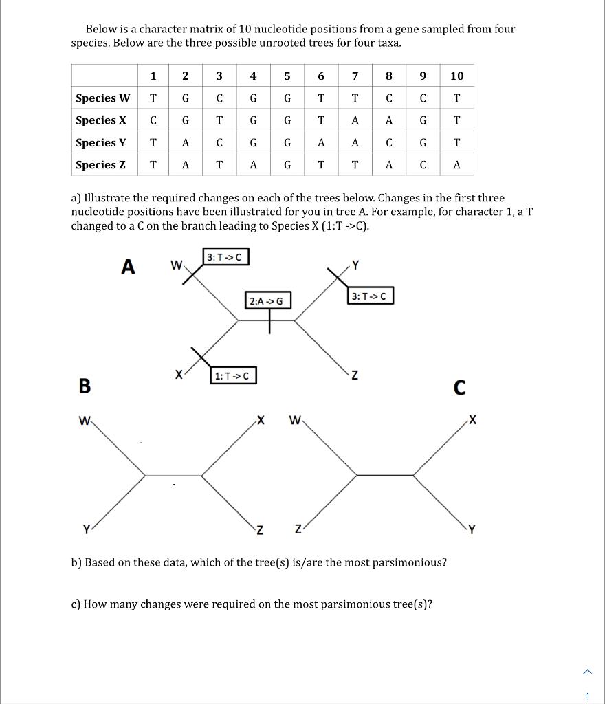 Solved Below is a character matrix of 10 nucleotide | Chegg.com