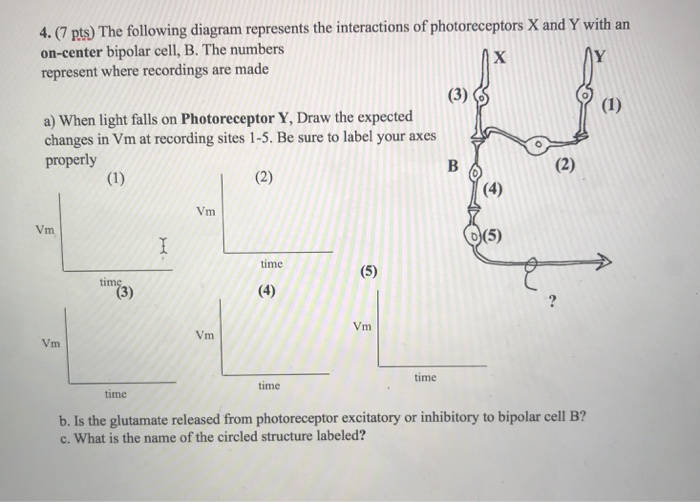Solved 4.(7 pts) The following diagram represents the | Chegg.com