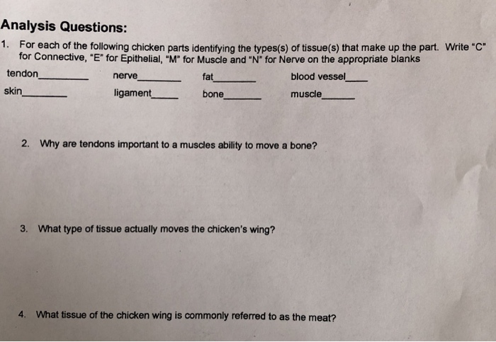 Chicken Wing Dissection Lab Answers
