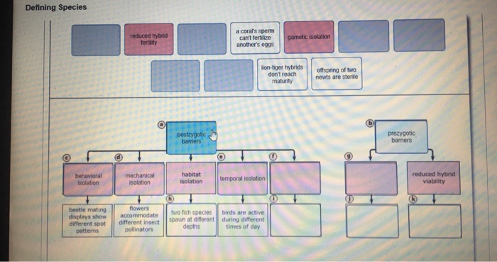 Solved Part B-Classifying reproductive bamiers Acording to | Chegg.com