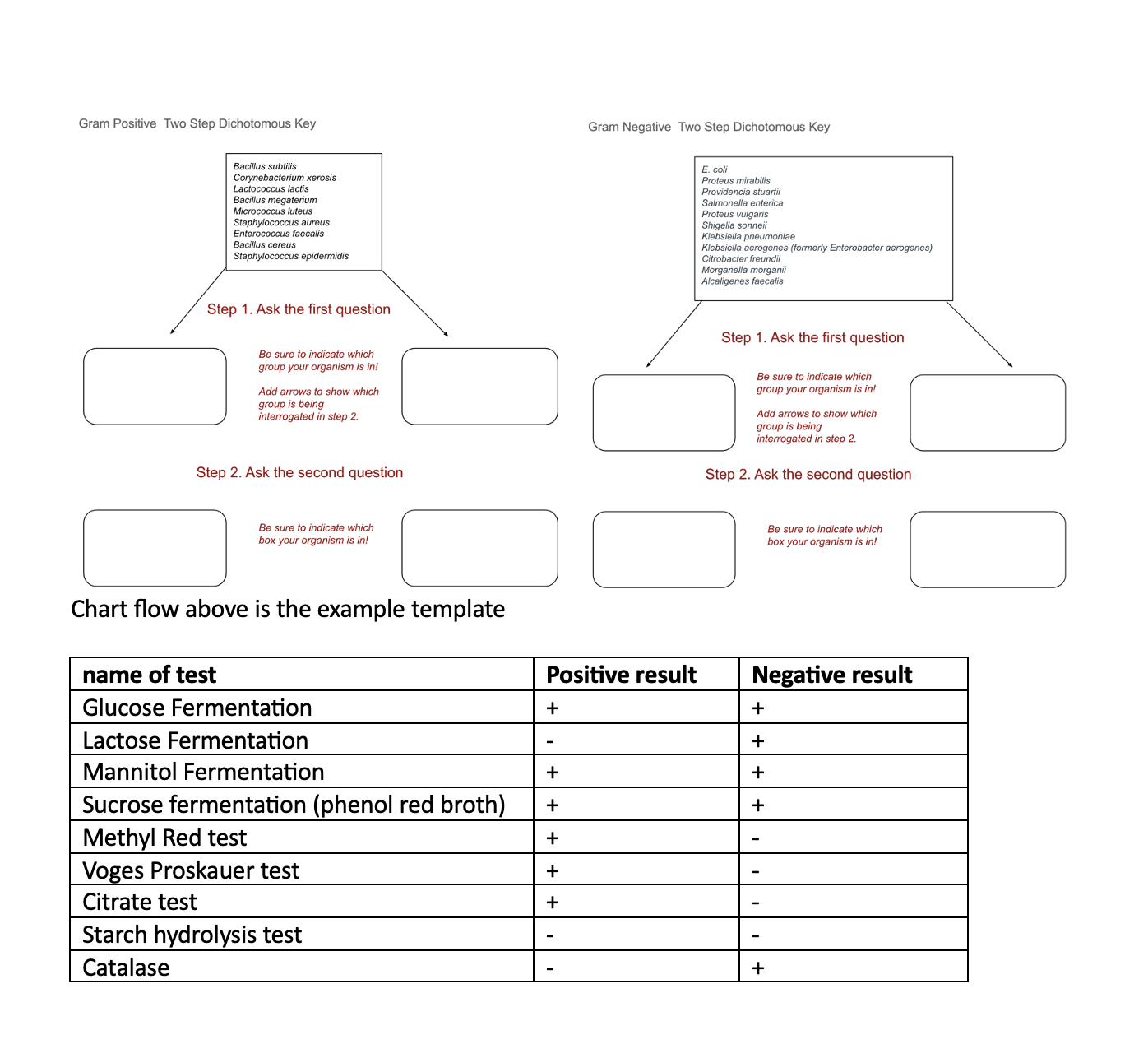Solved Can someone please help me create a dichotomous key | Chegg.com