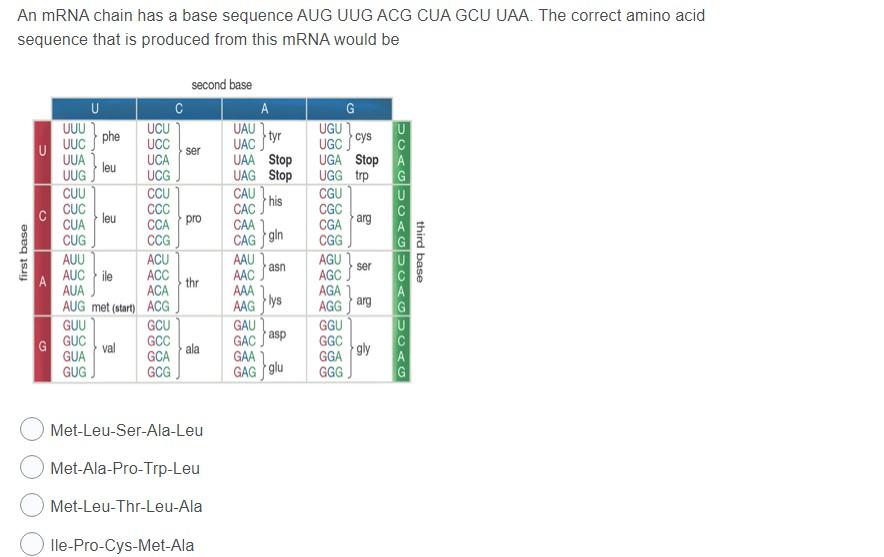 Solved An mRNA chain has a base sequence AUG UUG ACG CUA GCU | Chegg.com