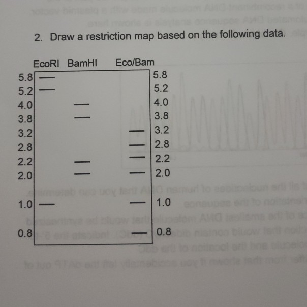 Solved 2. Draw a restriction map based on the following | Chegg.com