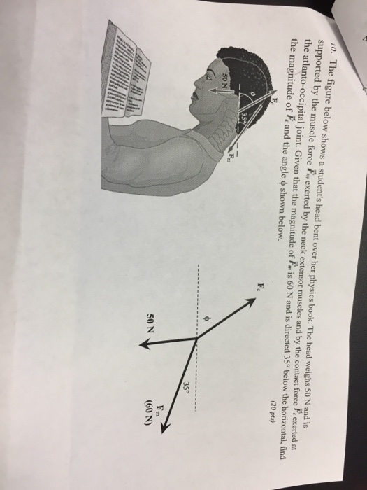 Solved The figure below shows a student's head bent over her | Chegg.com