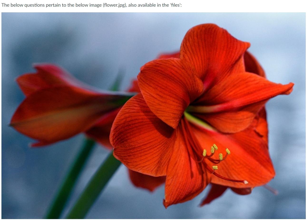 Solved (1) = Run an in-built edge detector and a corner | Chegg.com