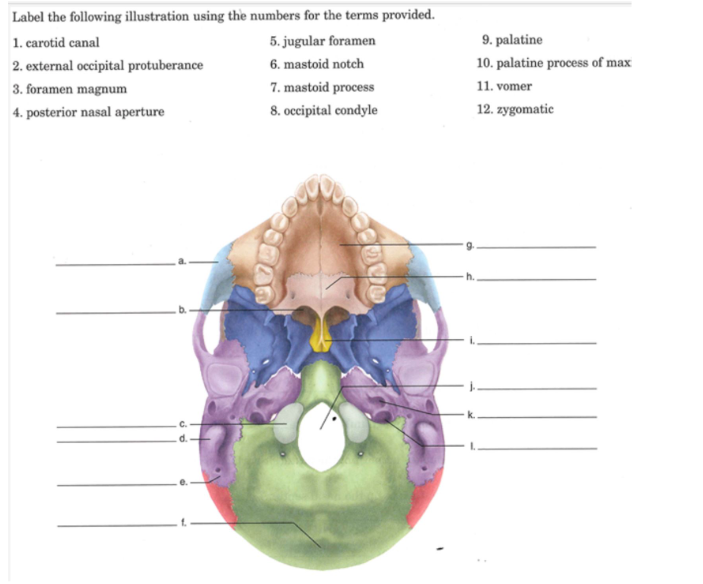 Solved Label the following illustration using the numbers | Chegg.com