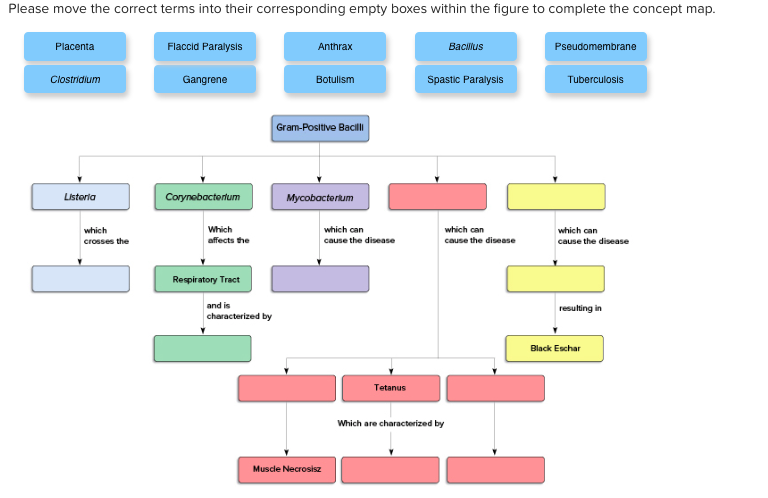 Solved Please move the correct terms into their | Chegg.com