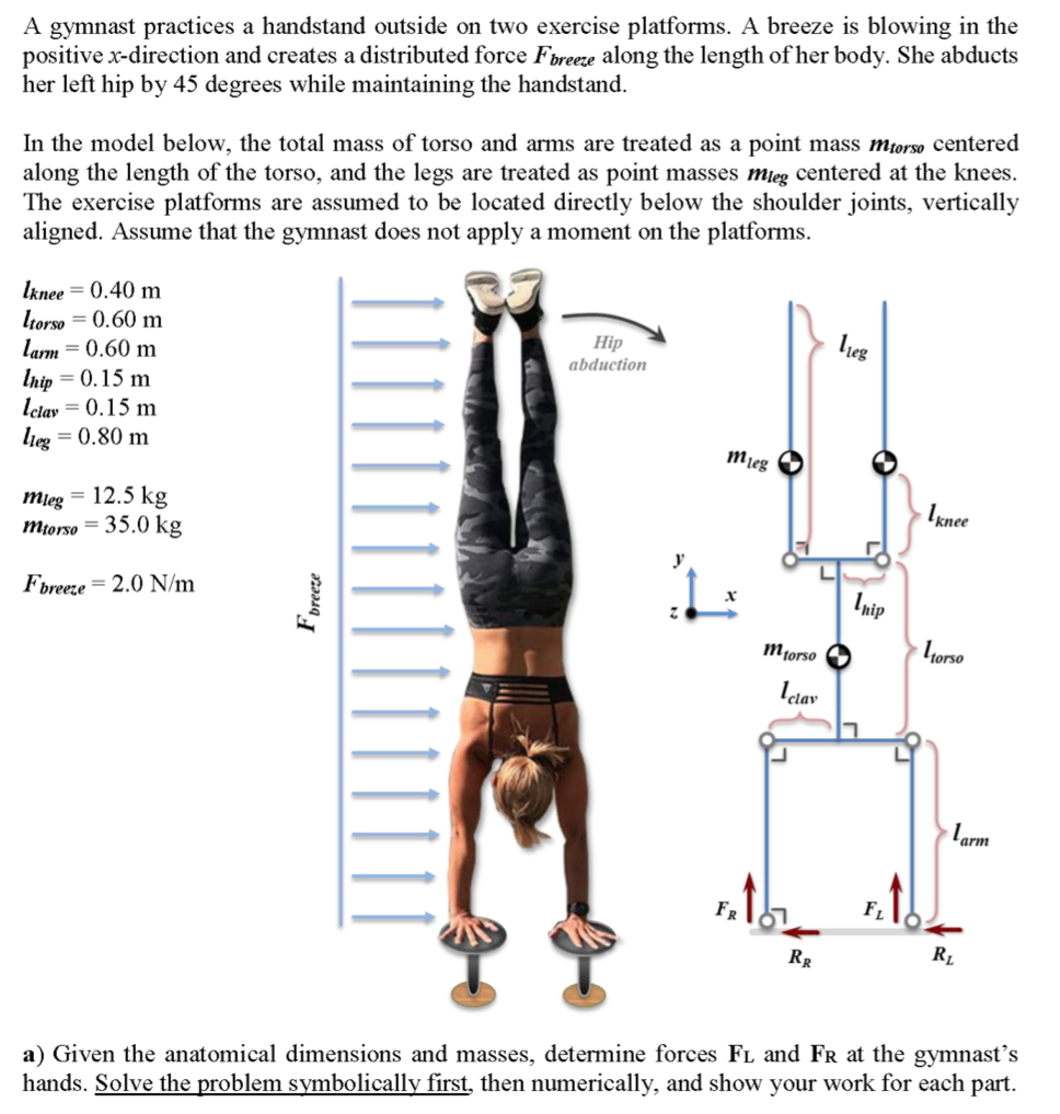 Solved A gymnast practices a handstand outside on two | Chegg.com