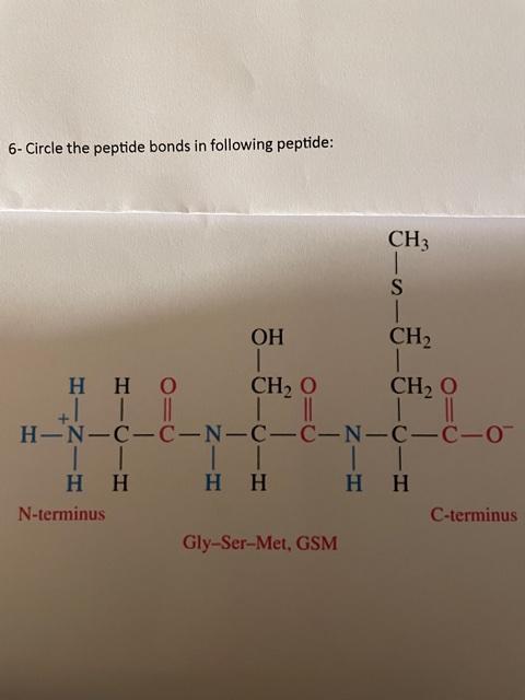 Solved 6- Circle the peptide bonds in following peptide: CH, | Chegg.com