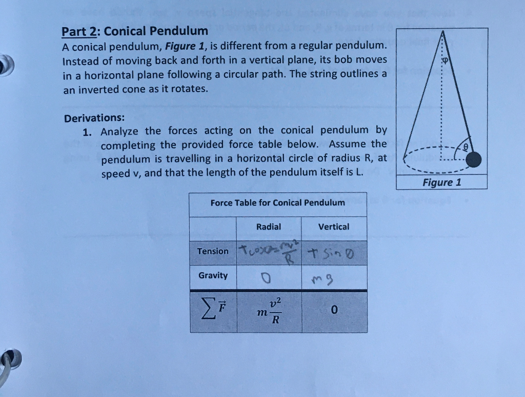 Solved Part 2: Conical Pendulum A conical pendulum, Figure | Chegg.com