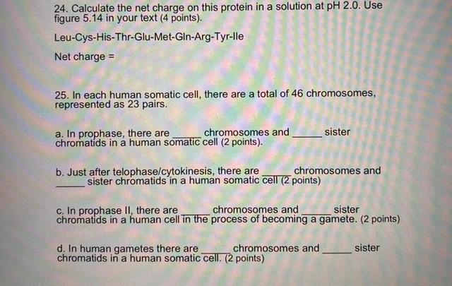 Solved 24. Calculate the net charge on this protein in a | Chegg.com