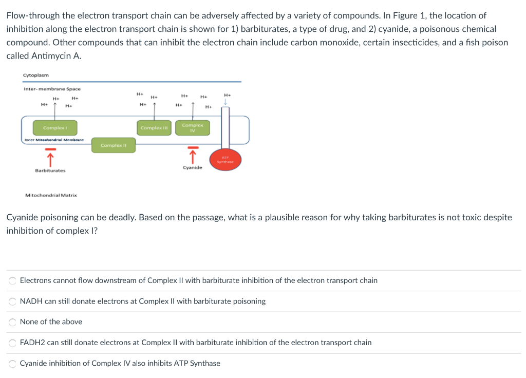 Solved Flow-through the electron transport chain can be | Chegg.com