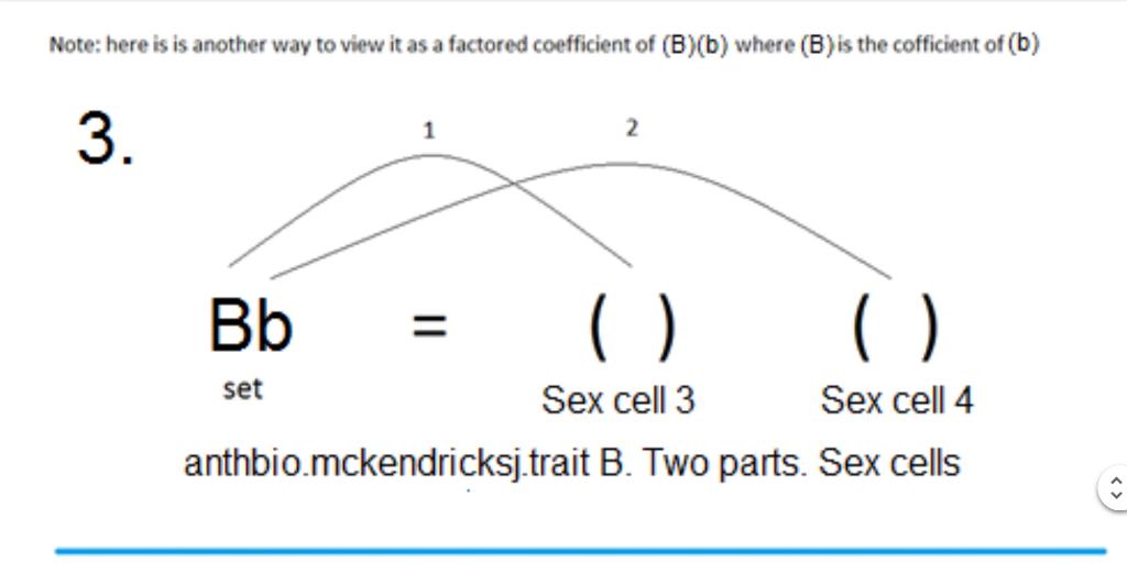 Solved img. Gamete Selection 1 Given: The parent cell has | Chegg.com