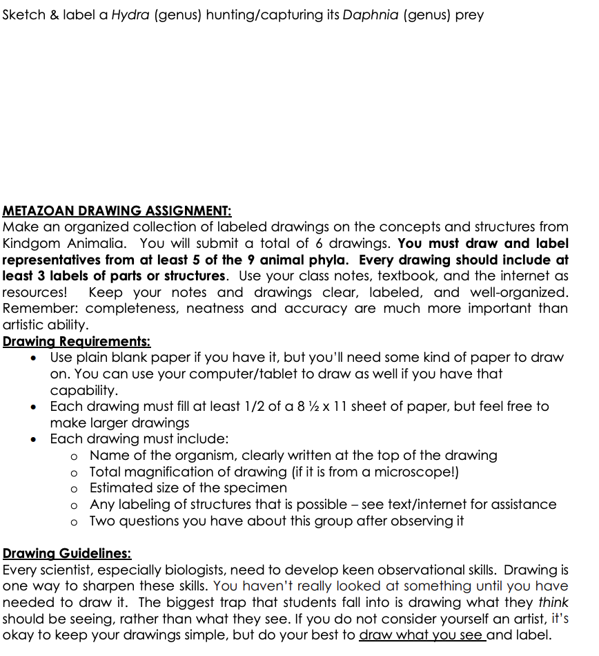Solved Sketch & label a Hydra (genus) hunting/capturing its | Chegg.com