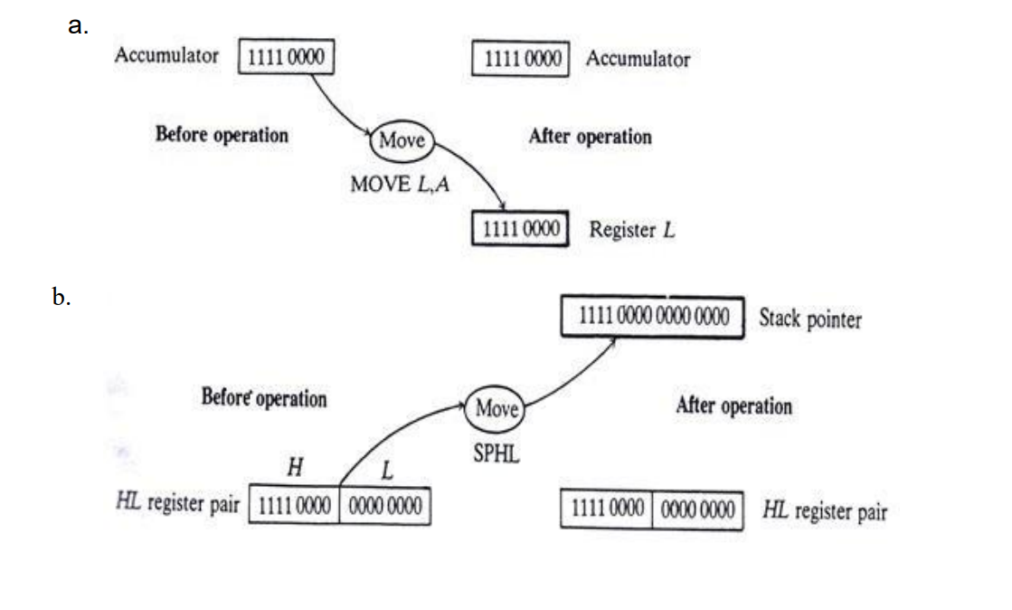 Solved Explain in detail the instructions in the image | Chegg.com