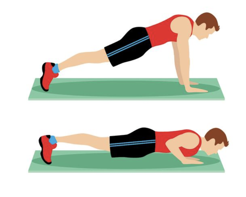 Solved Using the Muscle Control Formula, analyze the | Chegg.com