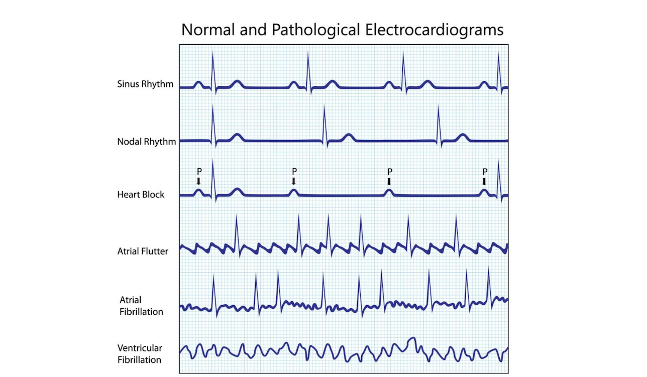 Solved Use the information presented in the | Chegg.com