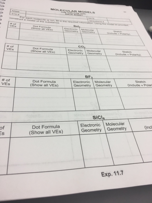 Solved MOLECULAR MODELS DAT a model of Bel Dot Formula Show | Chegg.com