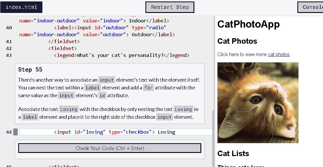 I Cannot Get It Right I Need Help With This Code Chegg