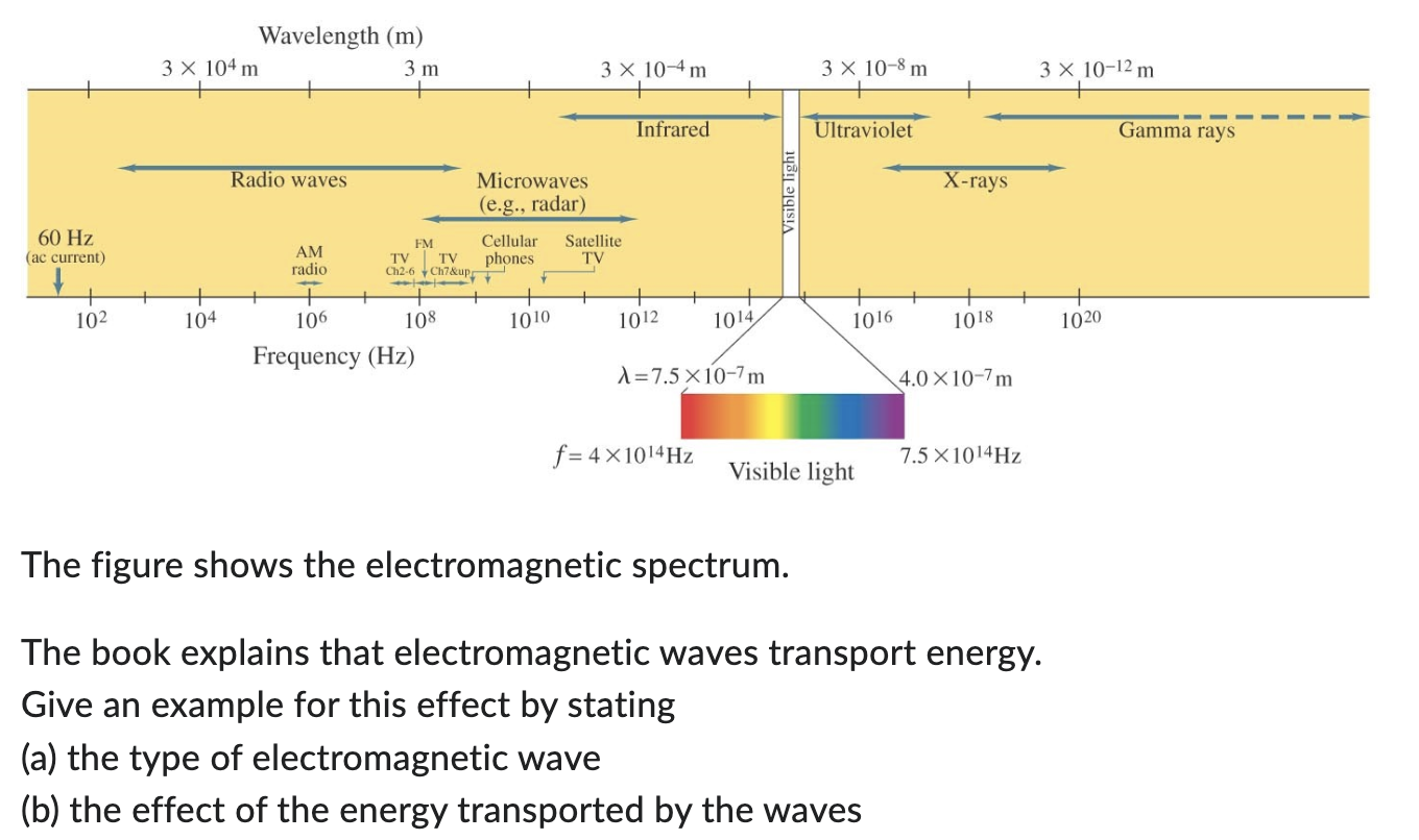Solved The figure shows the electromagnetic spectrum.The | Chegg.com
