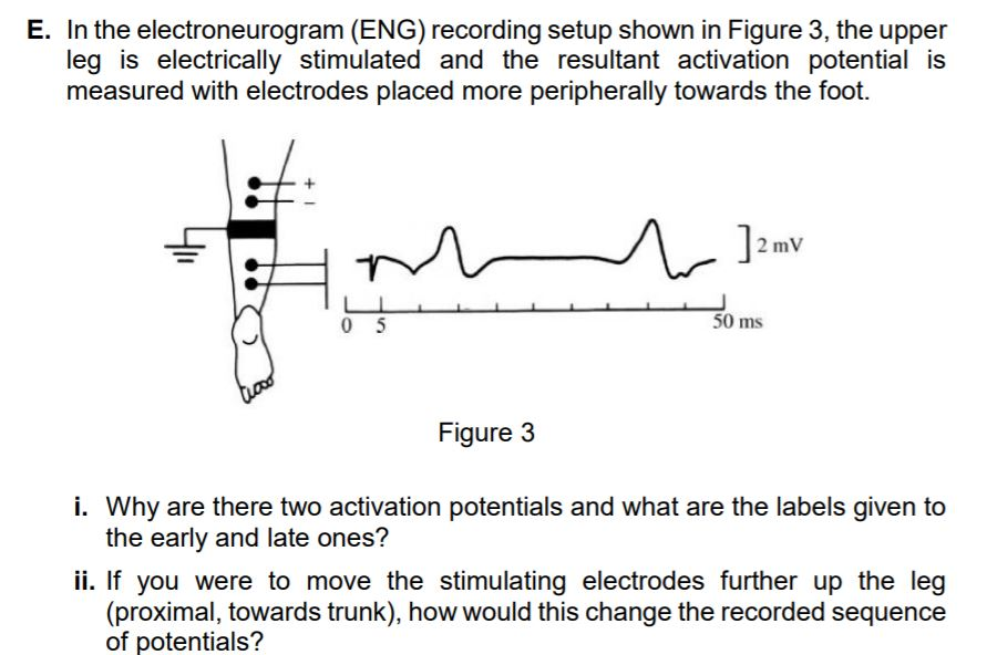 Solved E. In the electroneurogram (ENG) recording setup | Chegg.com