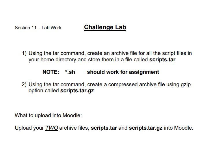Section 11 - Lab Work Challenge Lab 1) Using the tar | Chegg.com