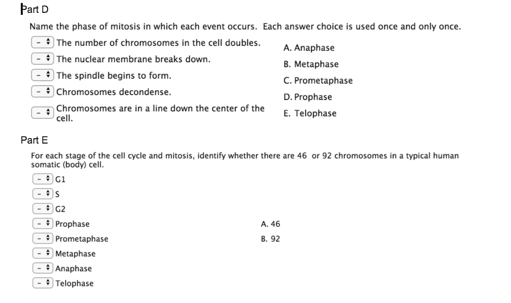 Solved Question 1: Part A: Match the name of each stage in | Chegg.com
