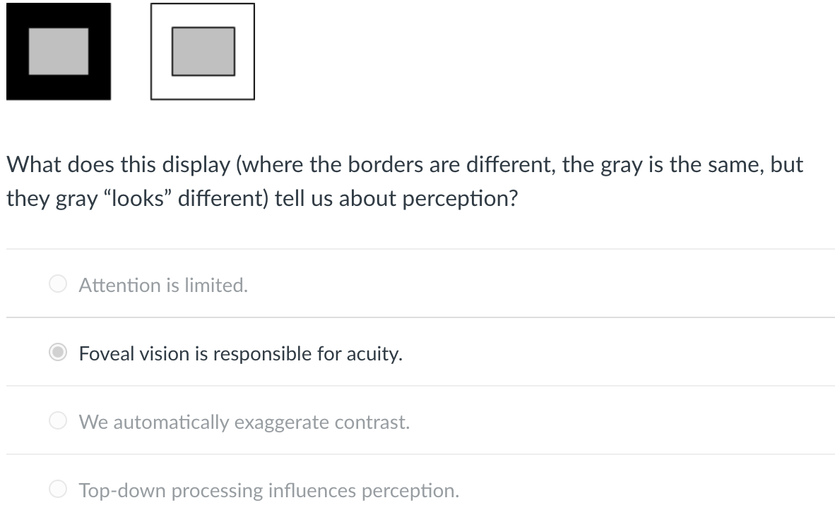 Solved What does this display (where the borders are | Chegg.com