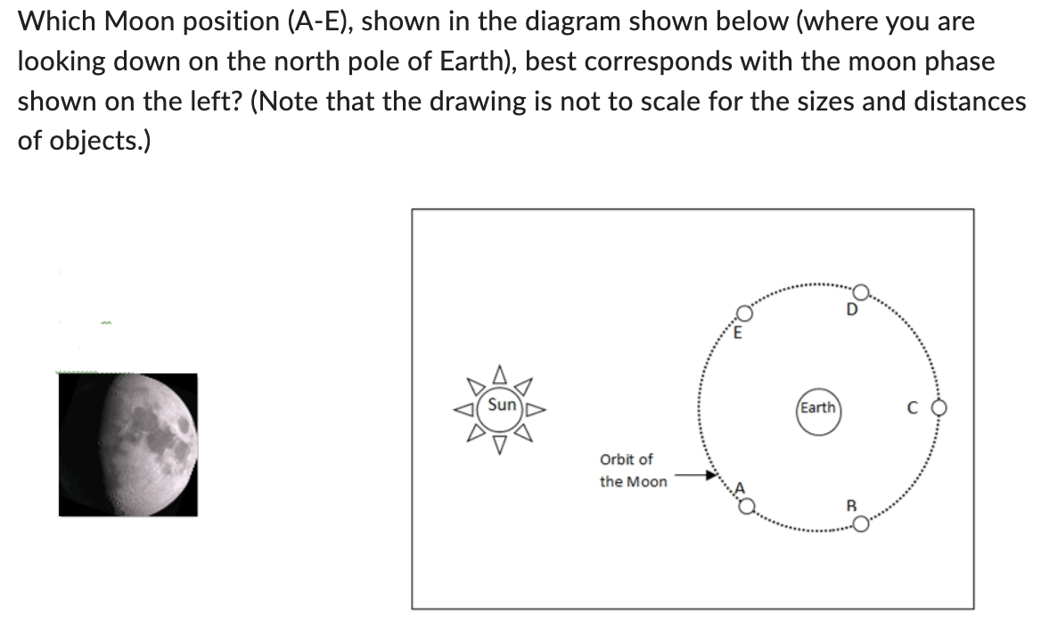 Solved Which Moon position (A-E), ﻿shown in the diagram | Chegg.com