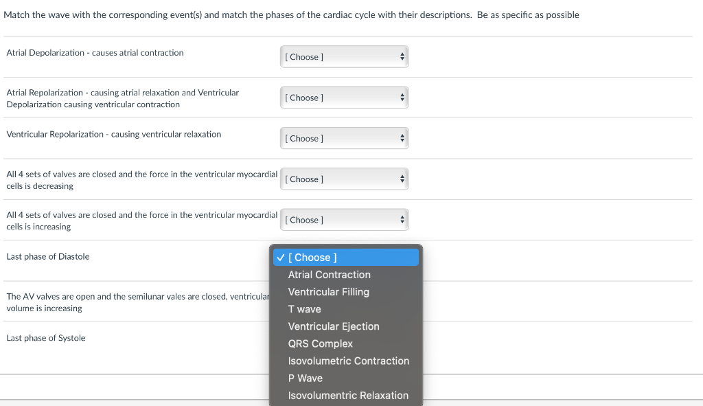 Solved These are the options for each of the drop down | Chegg.com