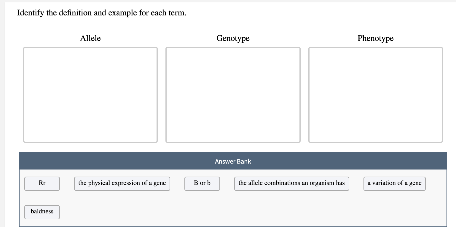 Solved Identify the definition and example for each term. | Chegg.com