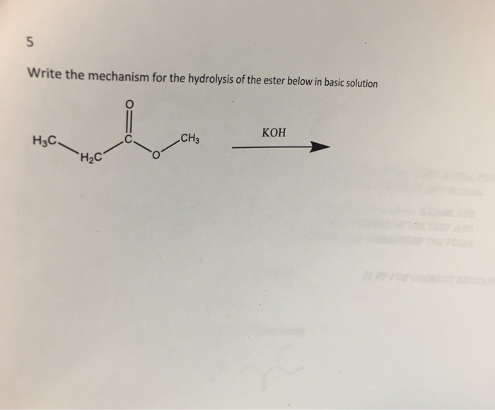 Solved Write the mechanism for the hydrolysis of the ester | Chegg.com
