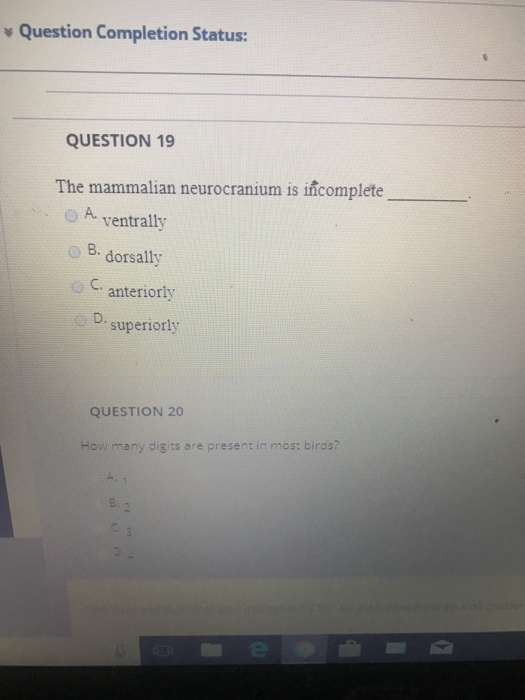 Solved Question Completion Status: QUESTION 19 The mammalian | Chegg.com