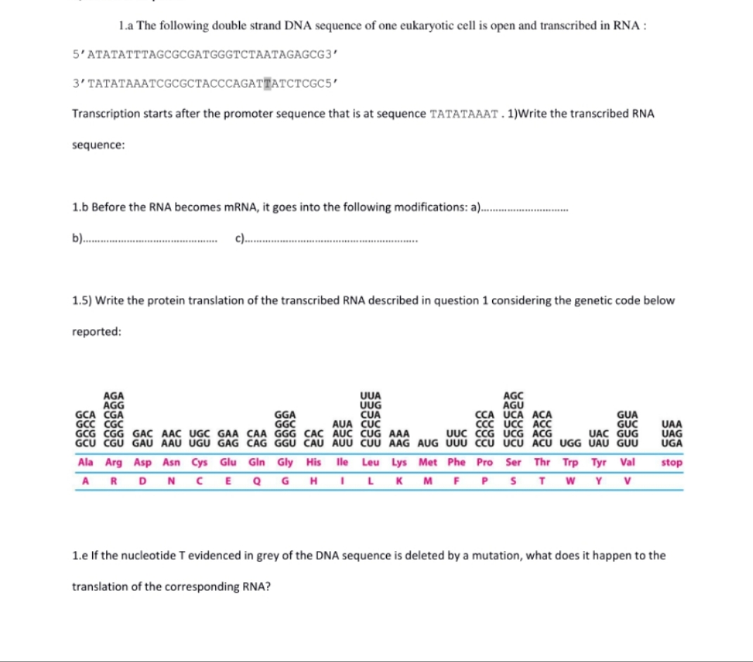 Solved 1.a The following double strand DNA sequence of one | Chegg.com
