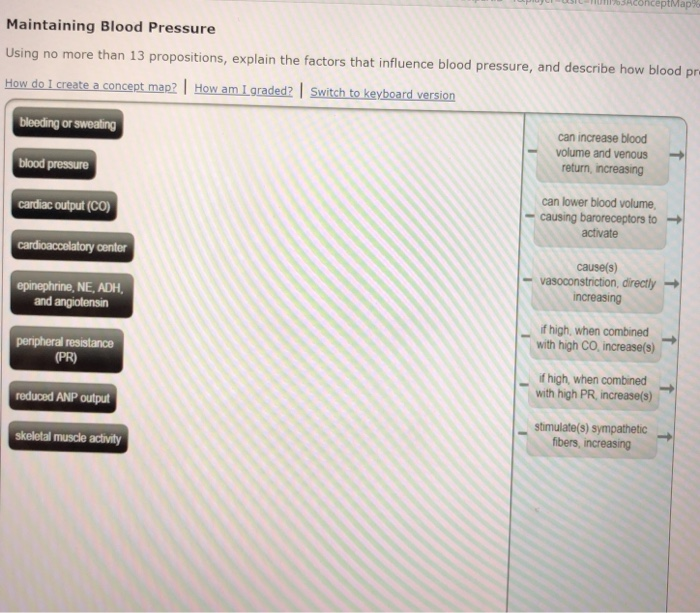 Solved osAconceptMap Maintaining Blood Pressure Using no | Chegg.com