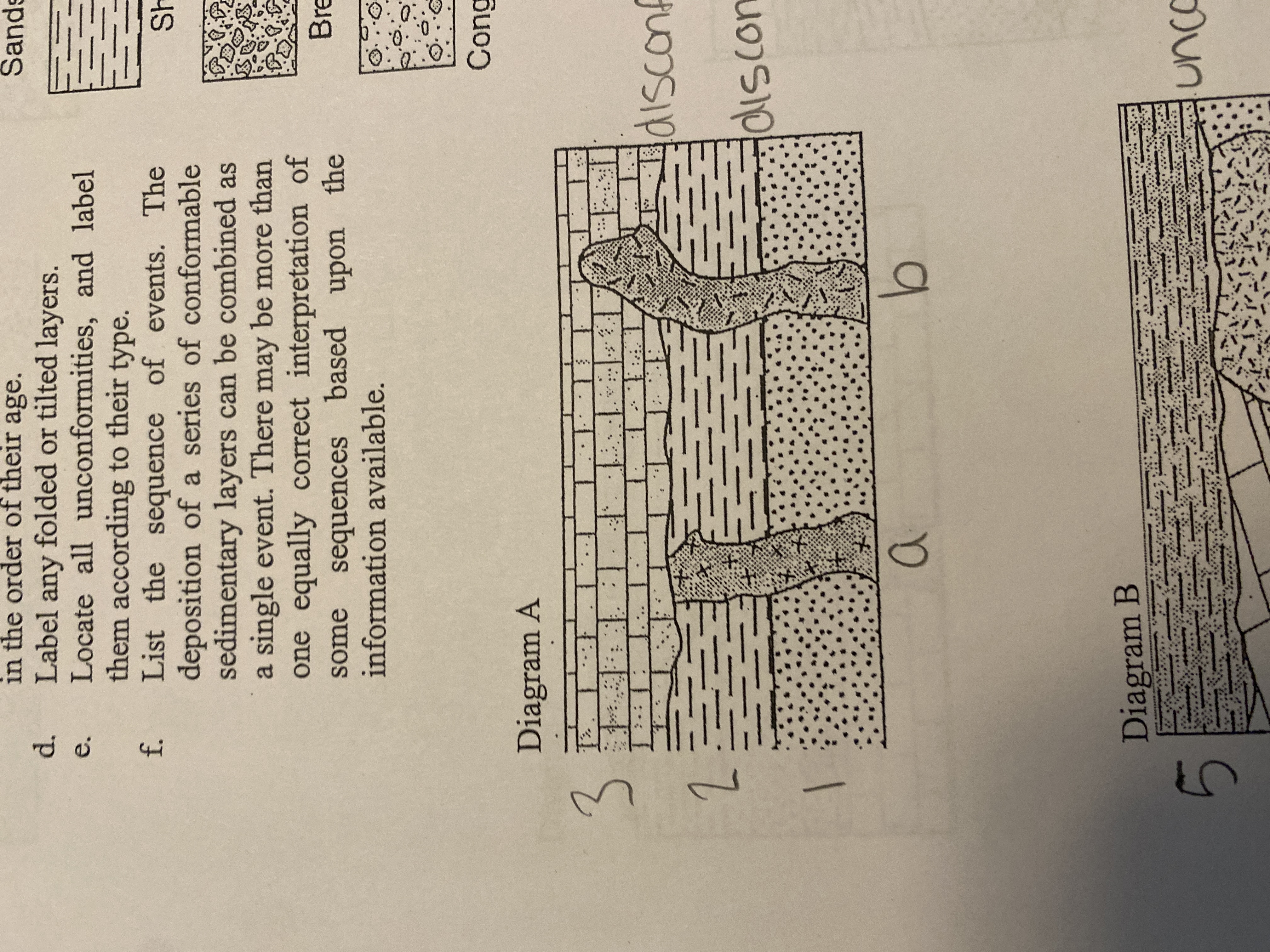 Solved in the order of their age. d. ﻿Label any folded or | Chegg.com